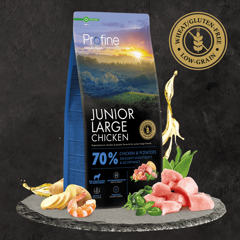 Profine Junior Large Chicken - til hvalpe og unghunde af store racer